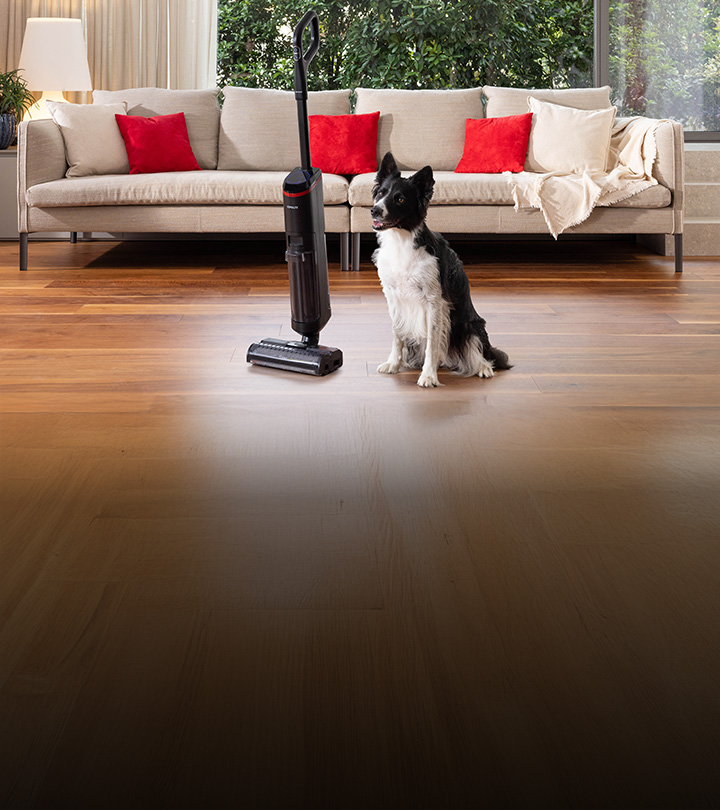 Polti RollySteam WD40C | Premium Cordless Wet Dry Vacuum